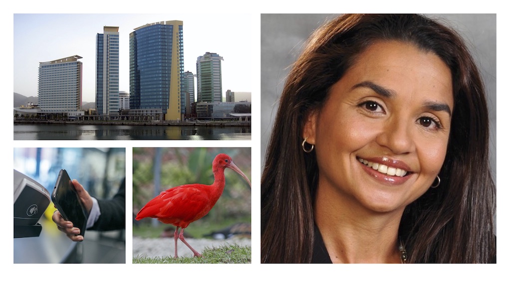 ICTP 205: Fintech in Trinidad and Tobago, with Maria Daniel of ...