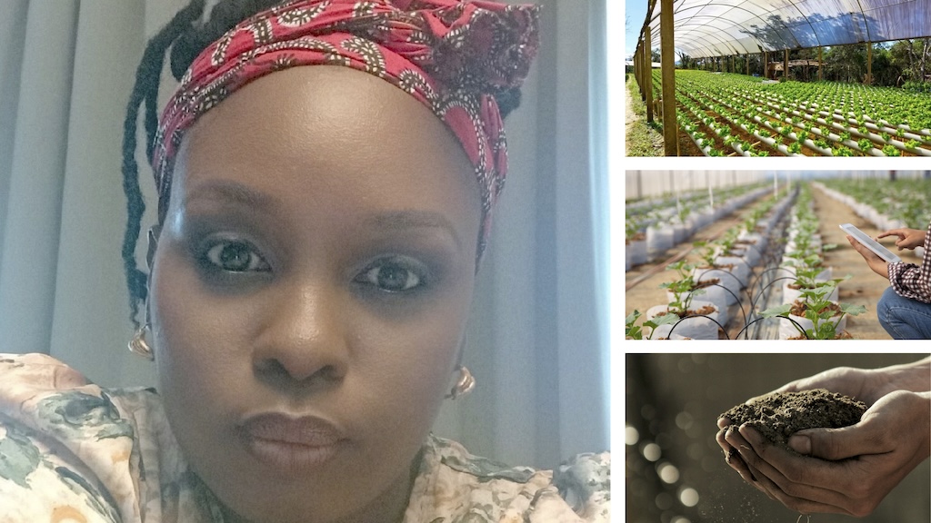 ICTP 289: Akata Farms, AgTech and why passion doesn’t sell, with Bevon ...